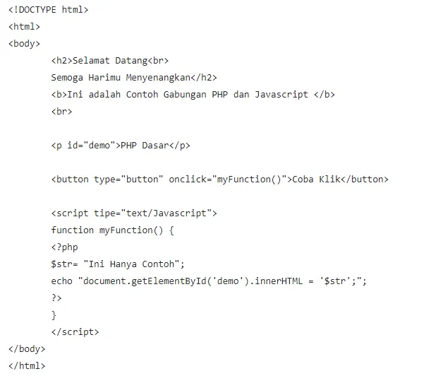 Pengertian PHP, Contoh, Fungsi dan Cara Kerjanya | Bamaha Digital