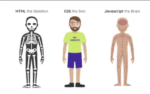 Apa itu Anatomi Web dan Bagaimana Website Bekerja? | Bamaha Digital