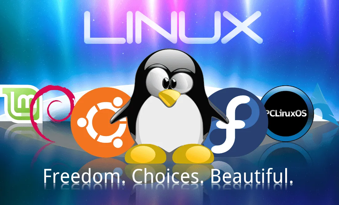 Pengertian Linux, Kelebihan dan Macam-Macamnya! | Bamaha Digital